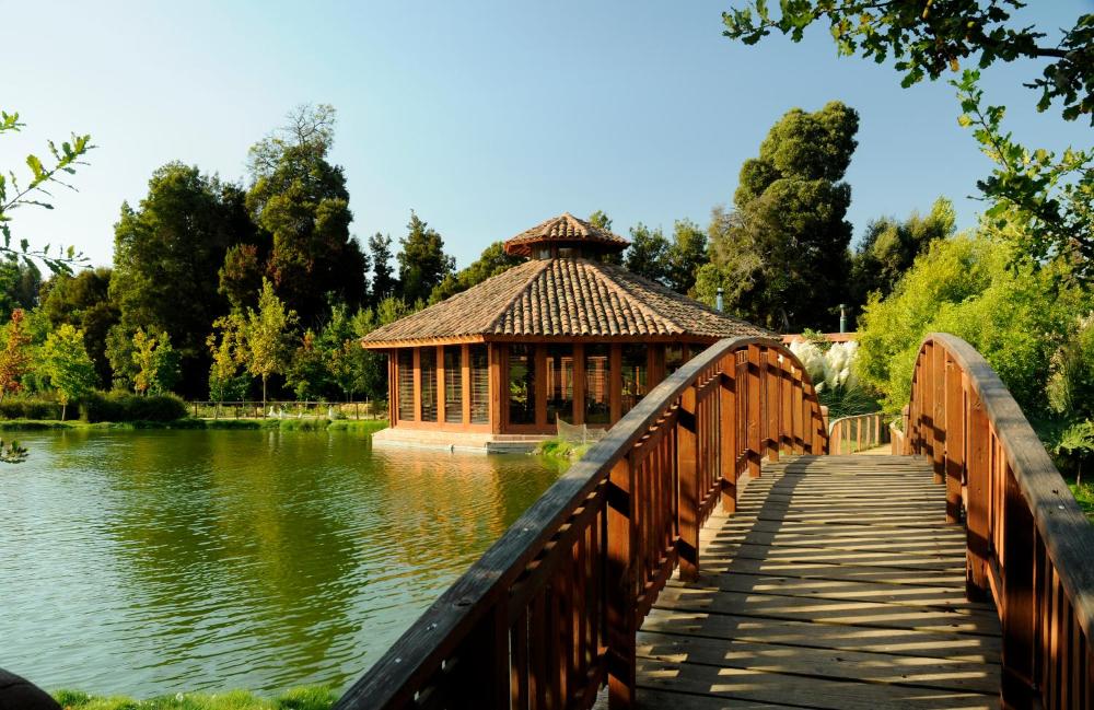 Hotel Boutique La Casona Matetic - Información, Tarifas y Reservas